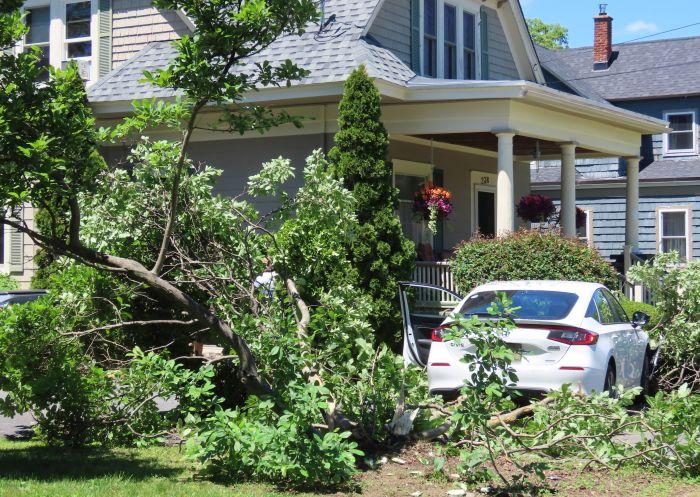 Driver with medical emergency hits tree in Port Jervis - Mid Hudson News