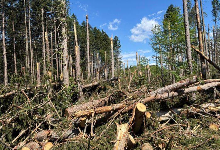 County comes to aid of Pawling after violent storm - Mid Hudson News