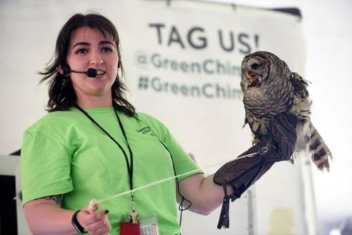 Birds of Prey return to Putnam County today - Mid Hudson News